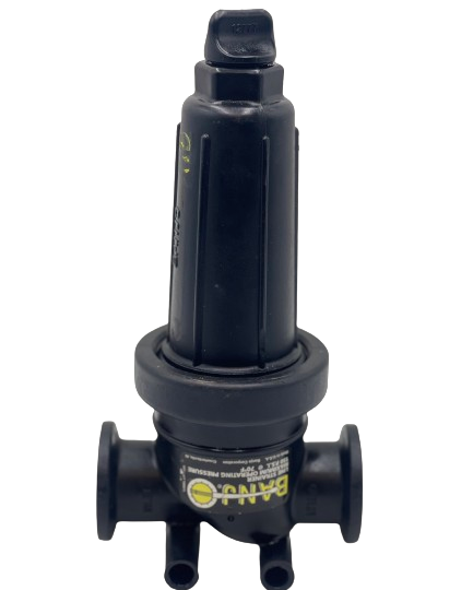 Banjo 1'' T style filter 100 mesh screen. with flanged ends. MLST100 ...